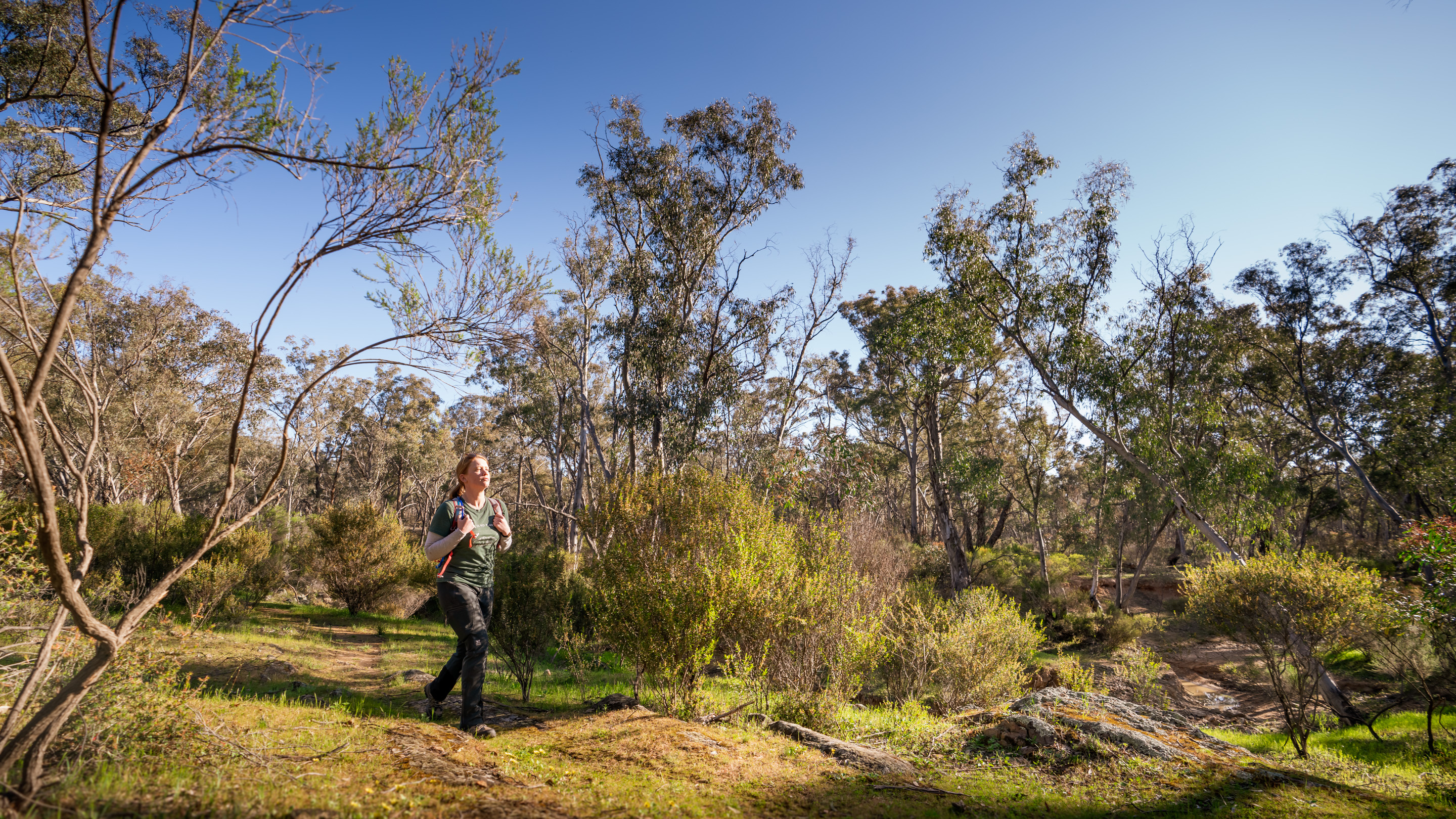 Junction Walking Track