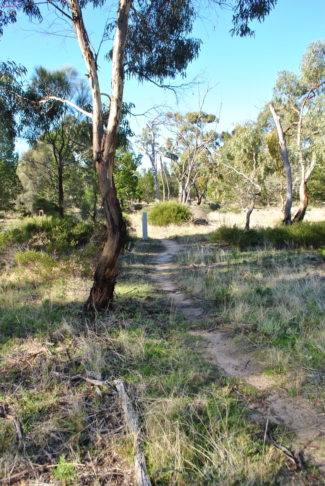 Wail Trail and Scenic Loop