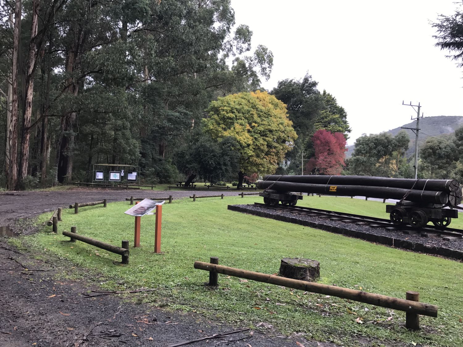 Powelltown Picnic Area