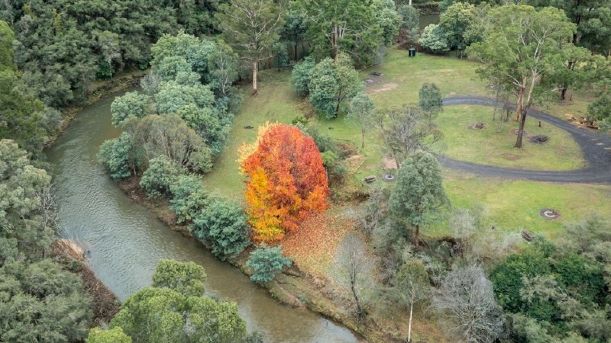 Waterside forest camping this summer
