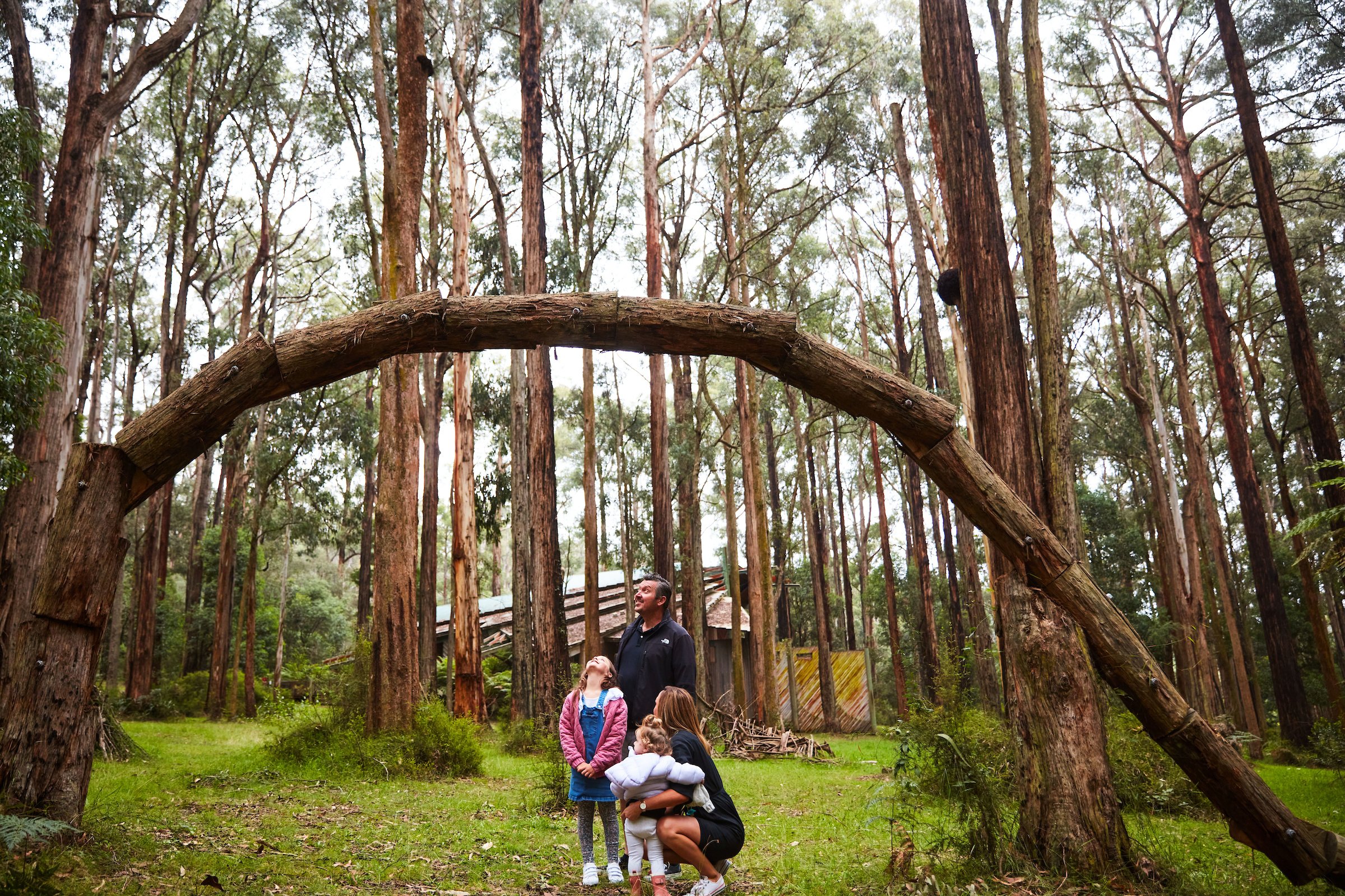 Toolangi Sculpture Trail